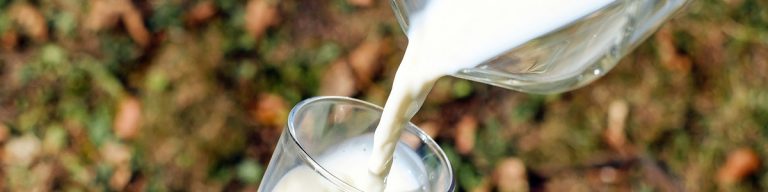 Red Lodge Farm – Fresh raw milk from the heart of Yorkshire